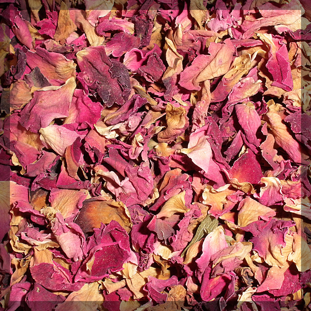 Rose Petals – Avalon